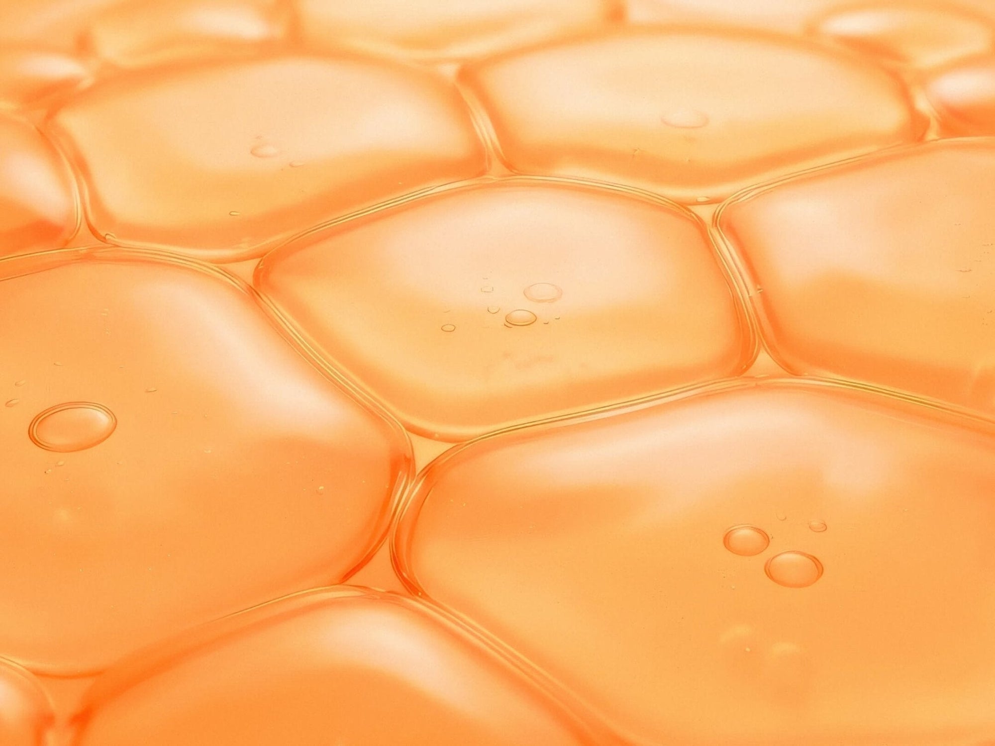 Where Your Immune Activity Really Happens (Hint: Not Your Blood ...